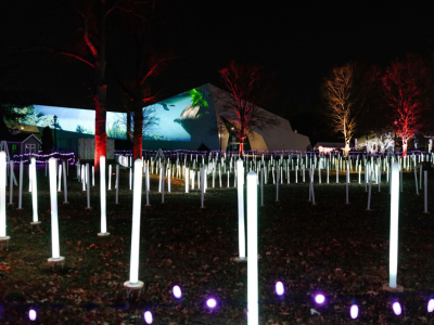 Wild Lights 2025 | Best Holiday Light Show in Detroit | Detroit Zoo