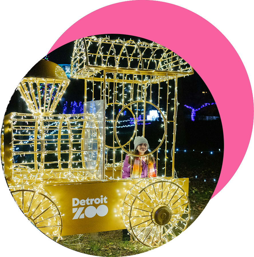 Wild Lights 2025 | Best Holiday Light Show in Detroit | Detroit Zoo