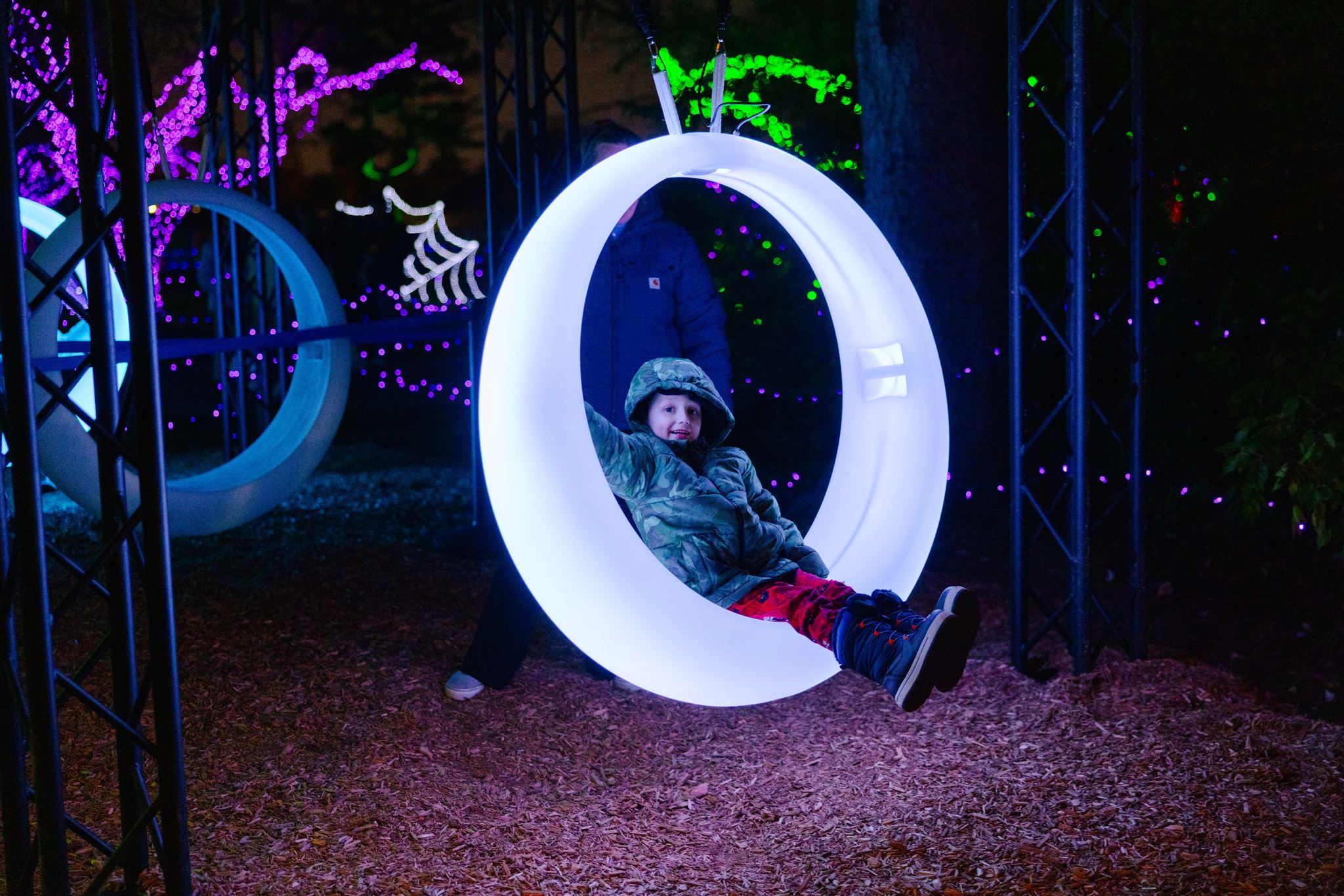 Wild Lights 2025 | Best Holiday Light Show in Detroit | Detroit Zoo