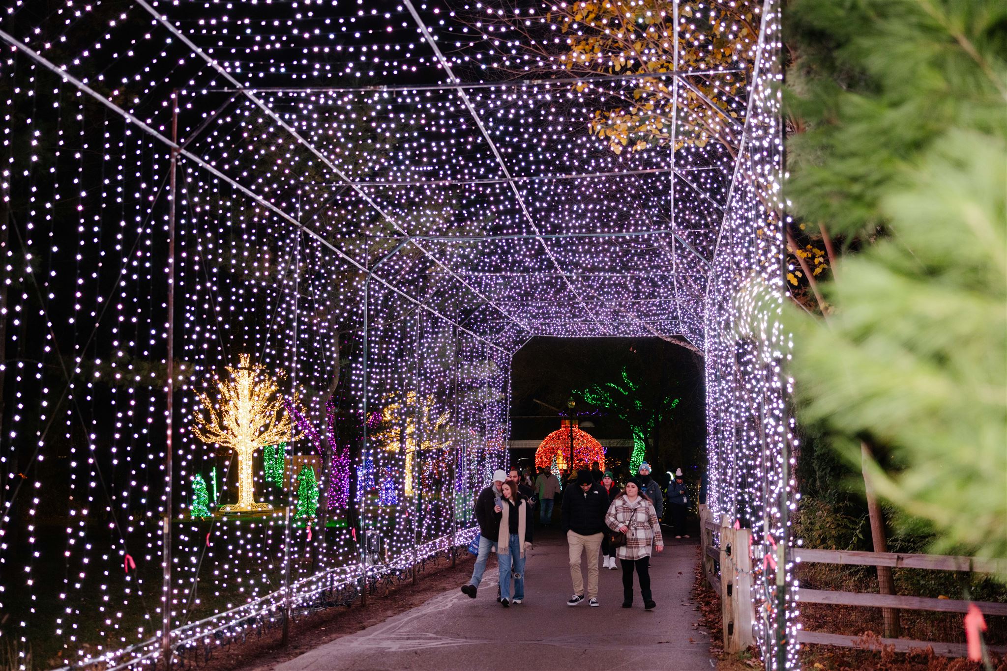 Wild Lights 2025 | Best Holiday Light Show in Detroit | Detroit Zoo