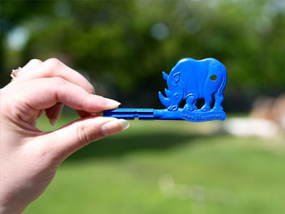 Rides and Attractions - Detroit Zoo