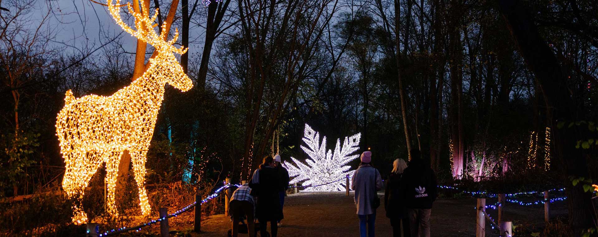 Wild Lights 2025 | Best Holiday Light Show in Detroit | Detroit Zoo