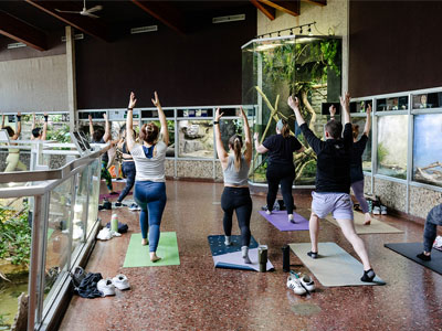 Events Listing - Detroit Zoo